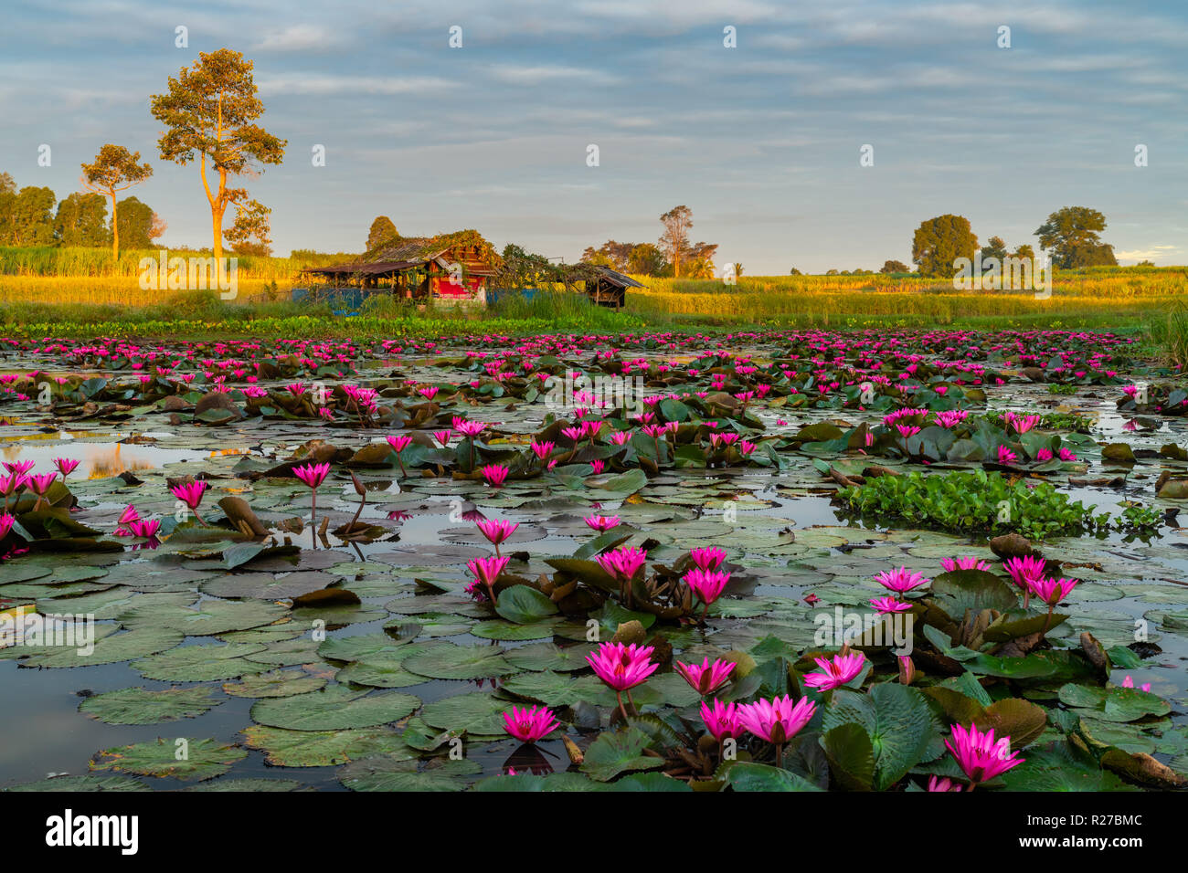 Beautiful early morning landscape of a typical remote countryside of ...