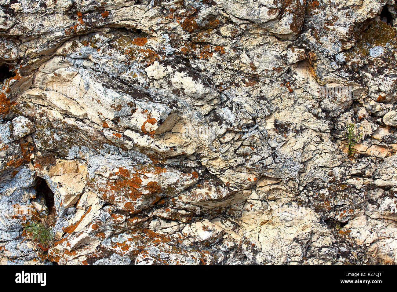 The texture of the stone close up with veins Stock Photo - Alamy