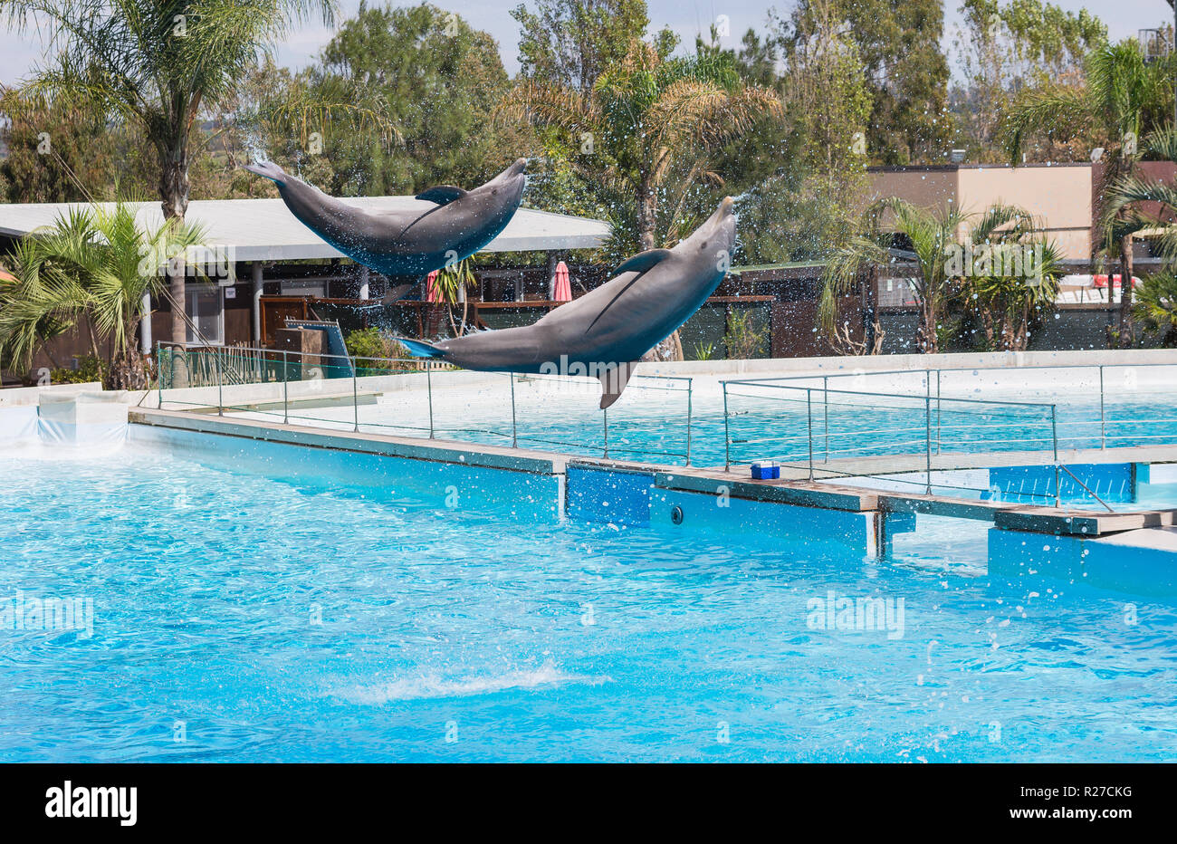 Zoomarine rome hi-res stock photography and images - Alamy