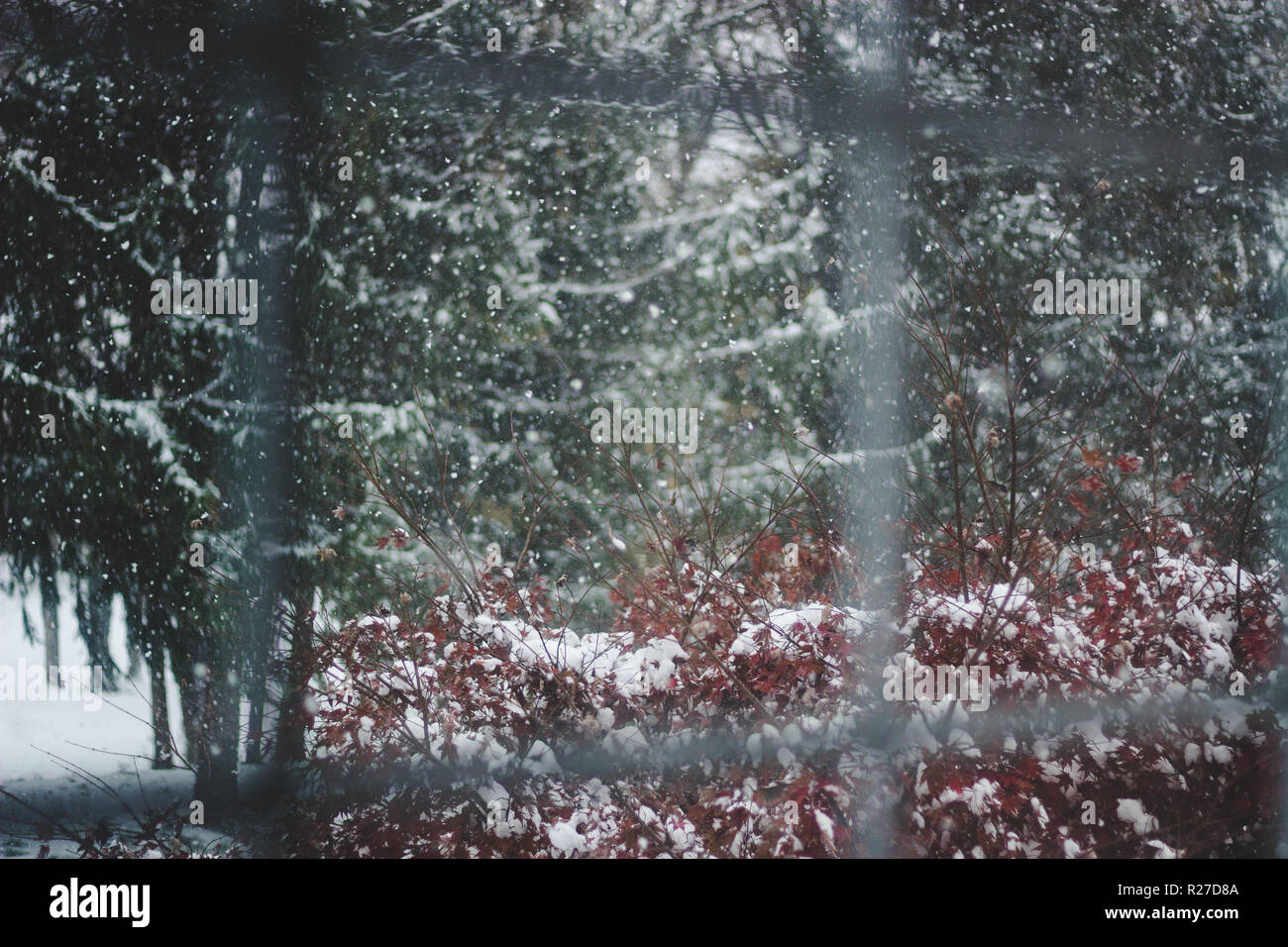 Snow Falling Window Gif