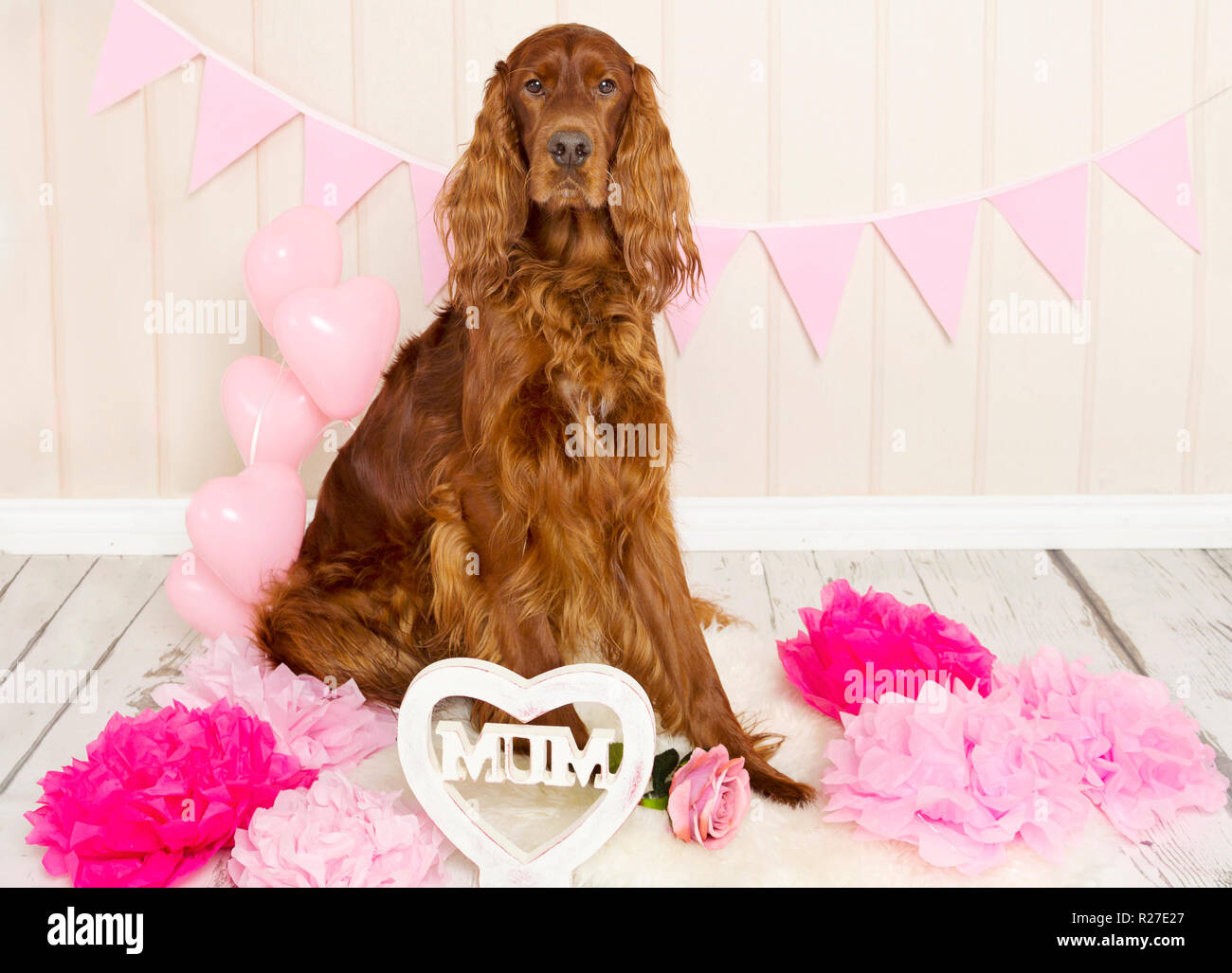 Themed balloons hi-res stock photography and images - Alamy