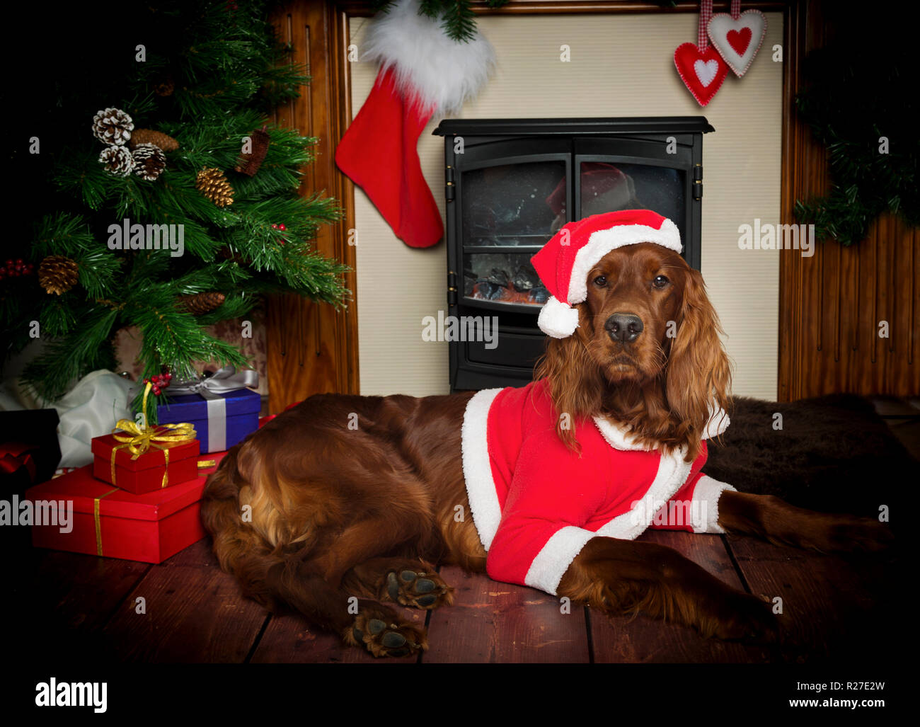 Irish fancy dress hat hi-res stock photography and images - Alamy