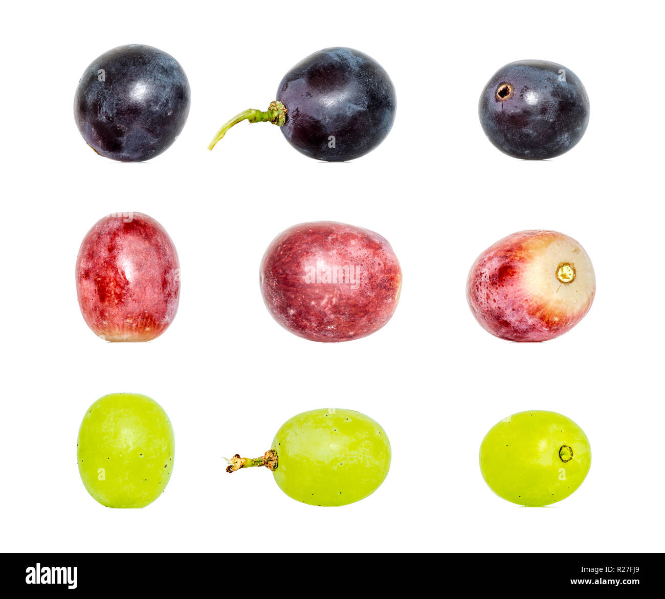 Red green and dark blue wine of grapes composition collection in ...