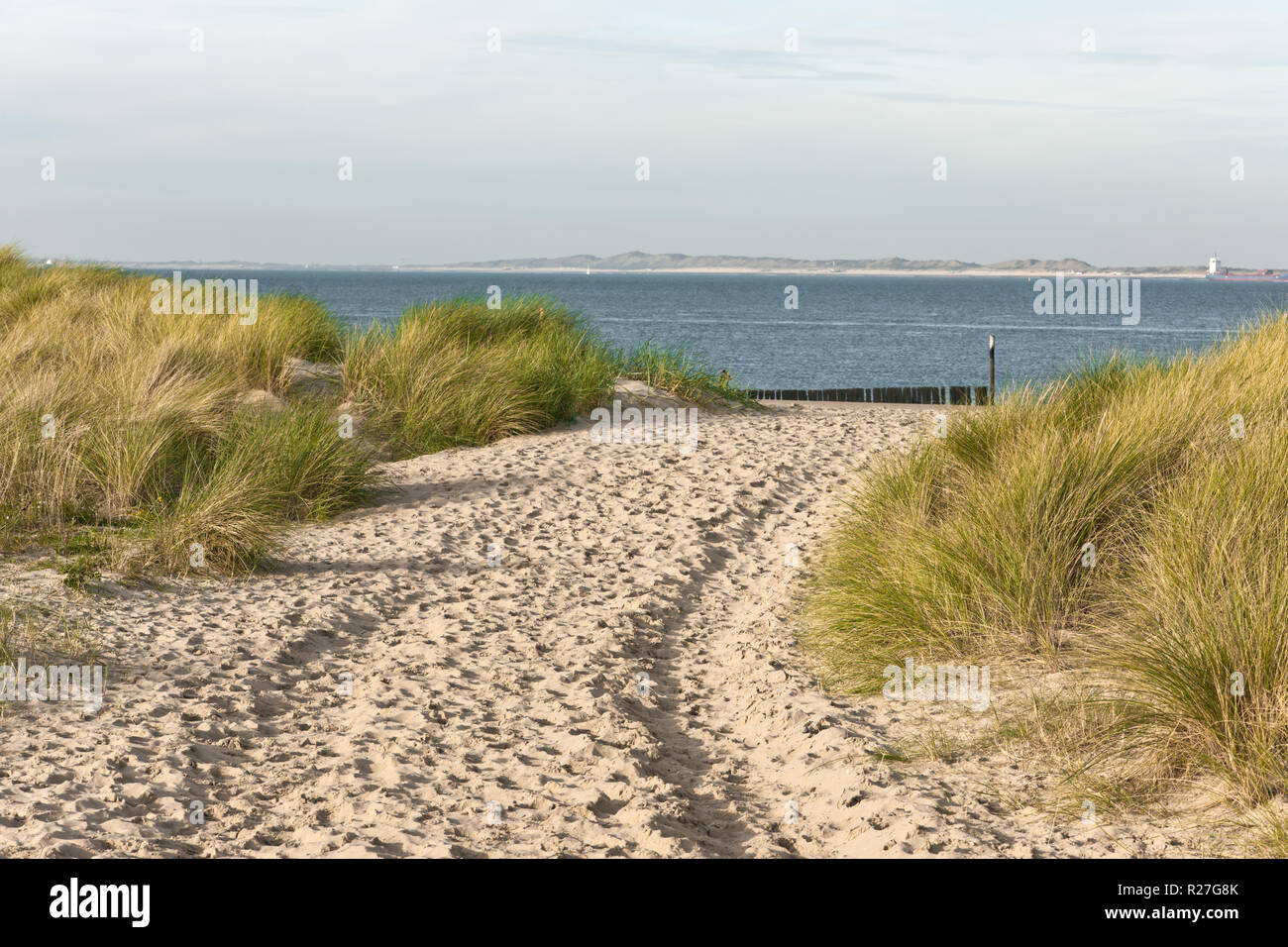 dune landscape along the Zeeuws Flemish coast near Breskens Stock Photo ...