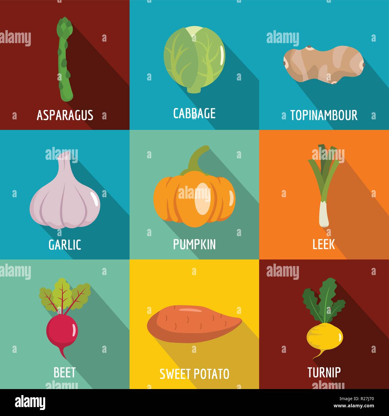 Mixed vegetable icons set. flat set of 9 mixed vegetable vector icons ...