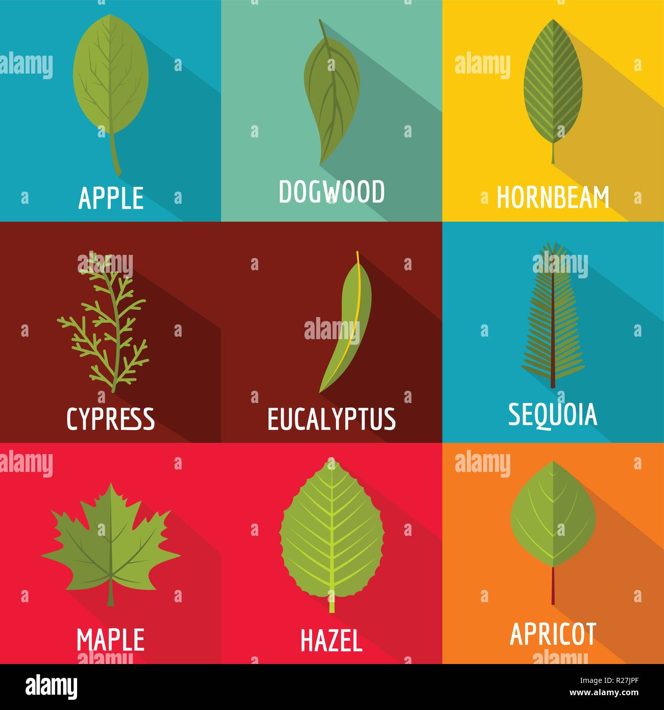 Tree sheet icons set. flat set of 9 tree sheet vector icons for web ...