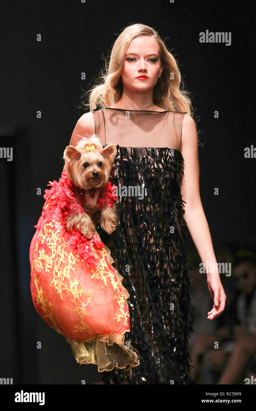 Anthony rubio designs hi-res stock photography and images - Alamy