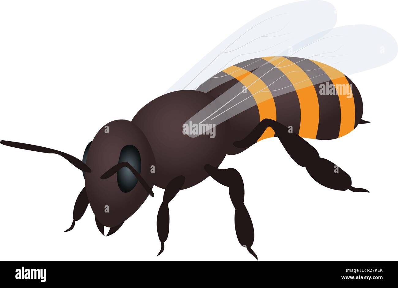 Bee icon. Isometric illustration of bee vector icon for web Stock ...