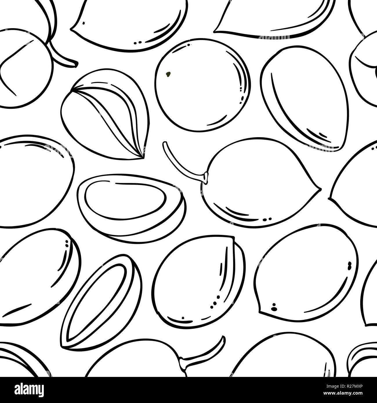 Argan oil vector vectors hi-res stock photography and images - Alamy