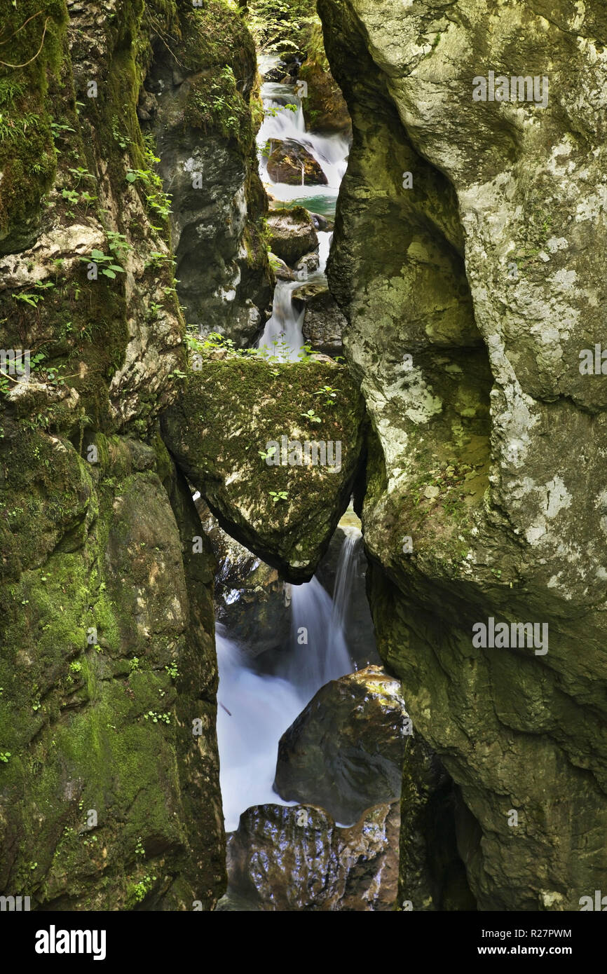 Medvedova glava - Bear's Head in Tolmin Gorge. Slovenia Stock Photo - Alamy
