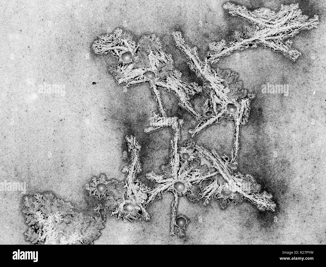 Silver water texture Black and White Stock Photos & Images - Alamy