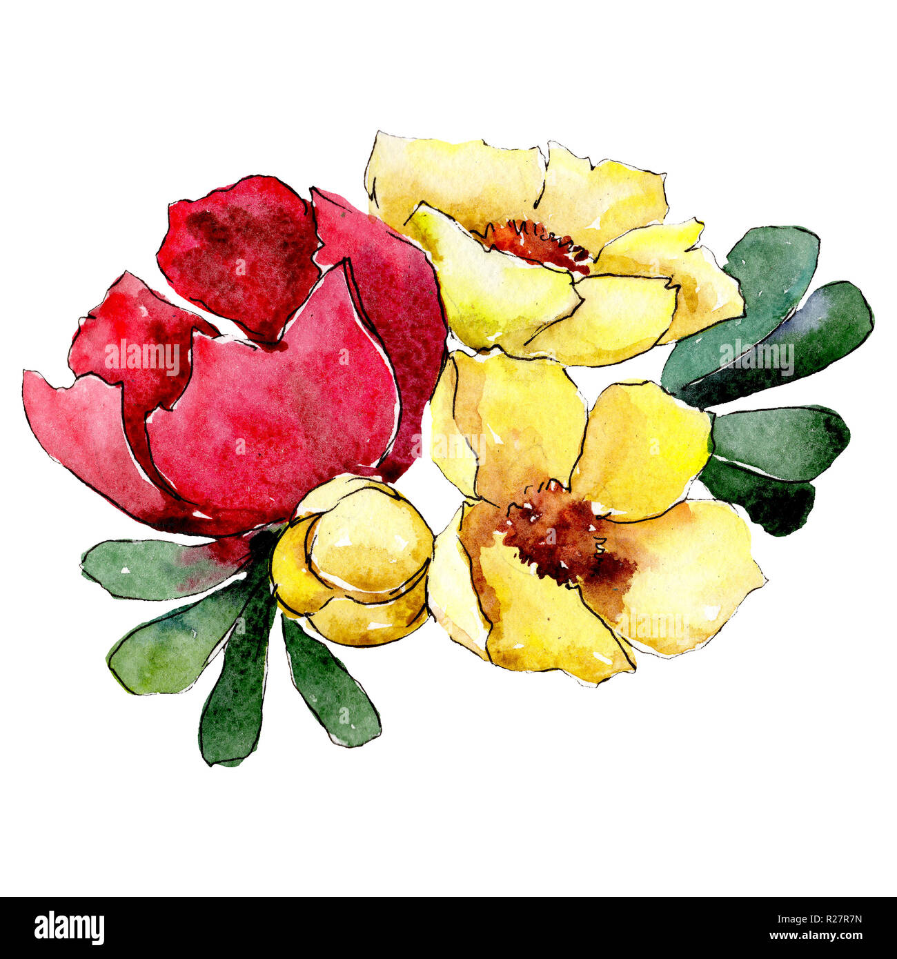 Red and yellow flowers. Isolated flower illustration element ...