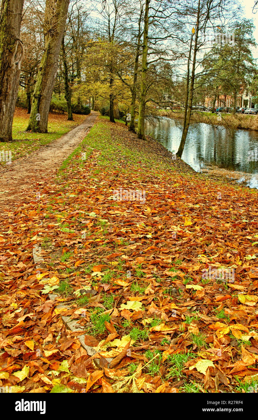 Path with pond hi-res stock photography and images - Alamy