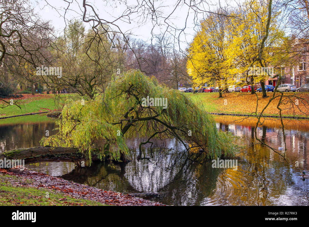 Urban park with pond in fall colors Stock Photo - Alamy