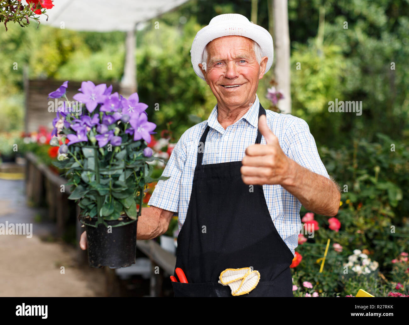 Portrait of older man proud of blooming flowers cultivated in his ...
