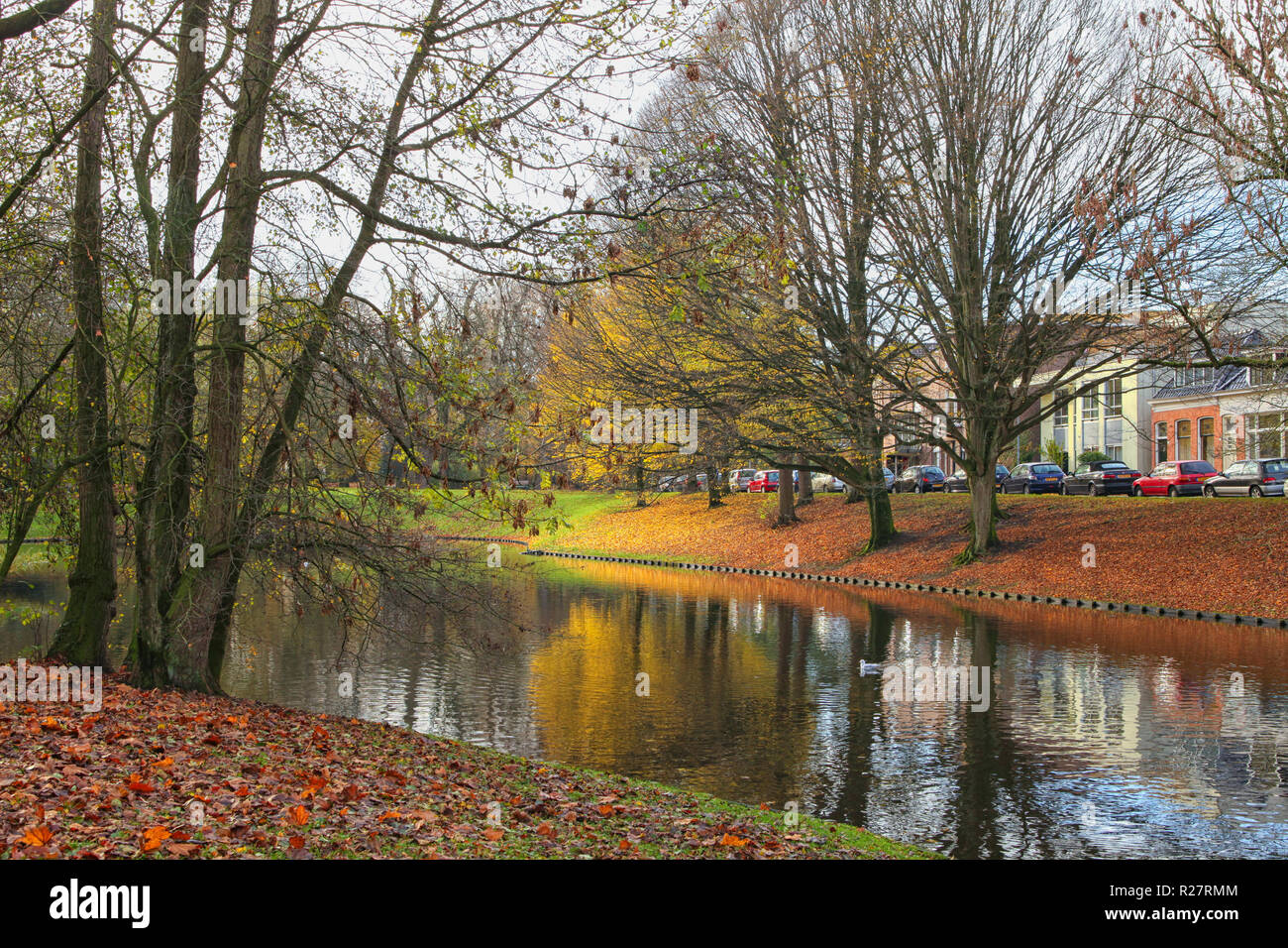 Urban fall color hi-res stock photography and images - Alamy