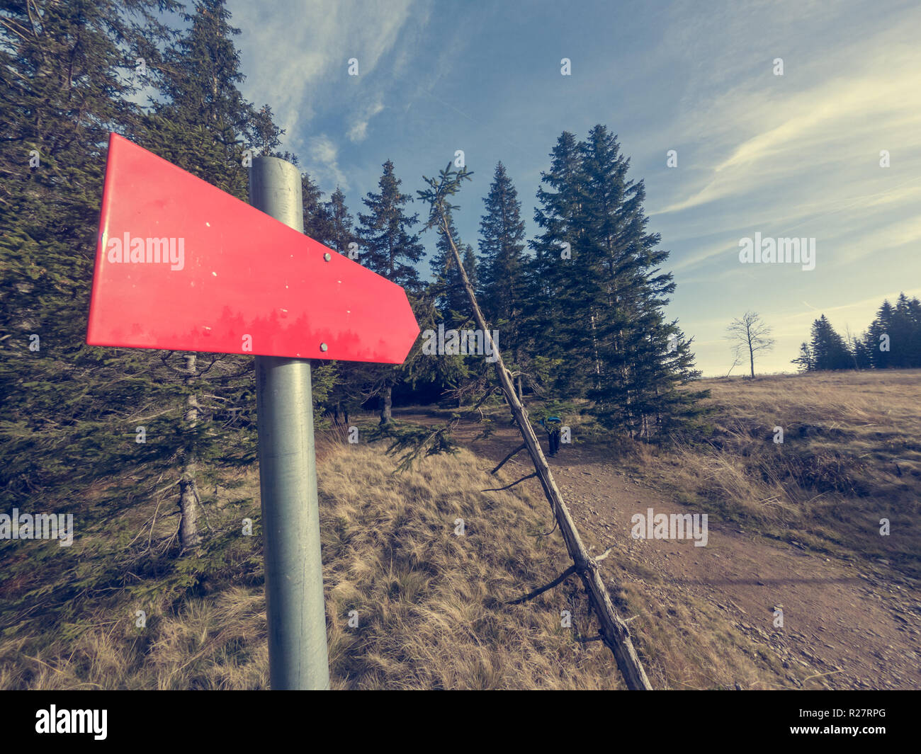 Red sign post pointing into a forest Stock Photo - Alamy