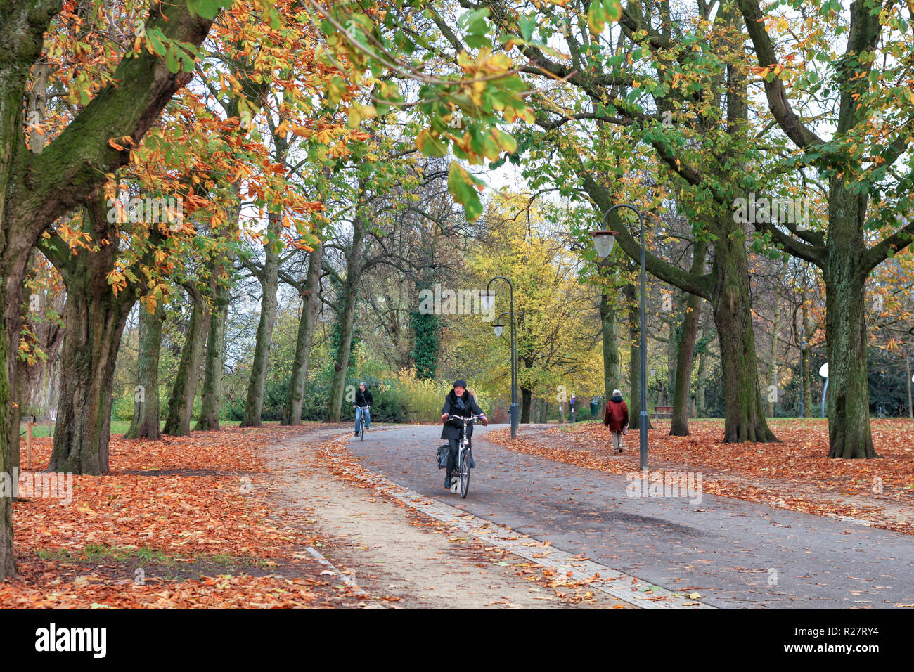 Park groningen hi-res stock photography and images - Alamy