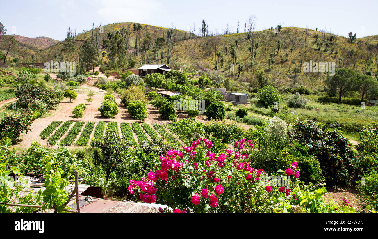 Landscape Monchique mountains in the Algarve in Portugal Stock Photo ...