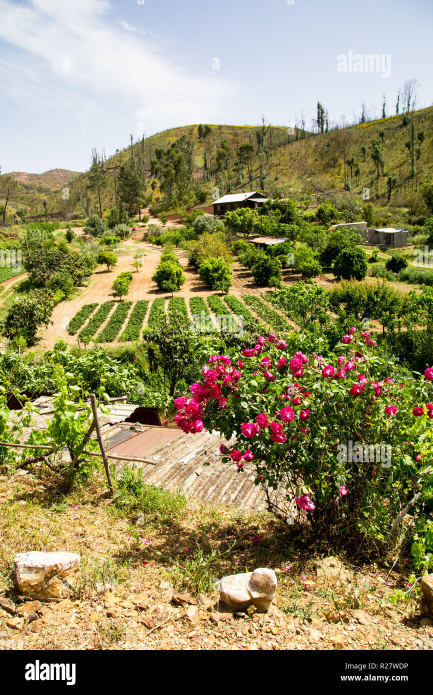 Landscape Monchique mountains in the Algarve in Portugal Stock Photo ...