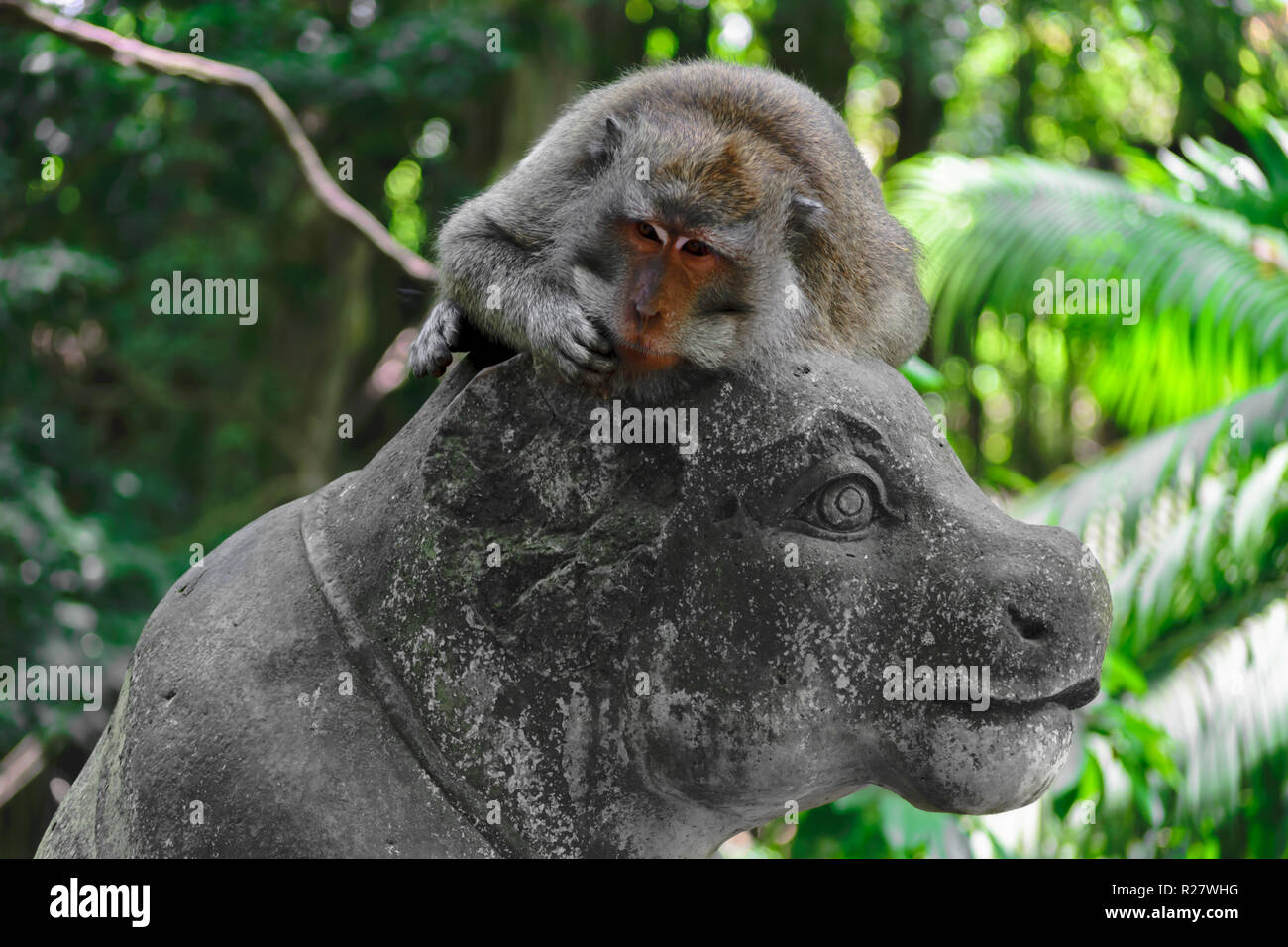 Big ape statue hi-res stock photography and images - Alamy