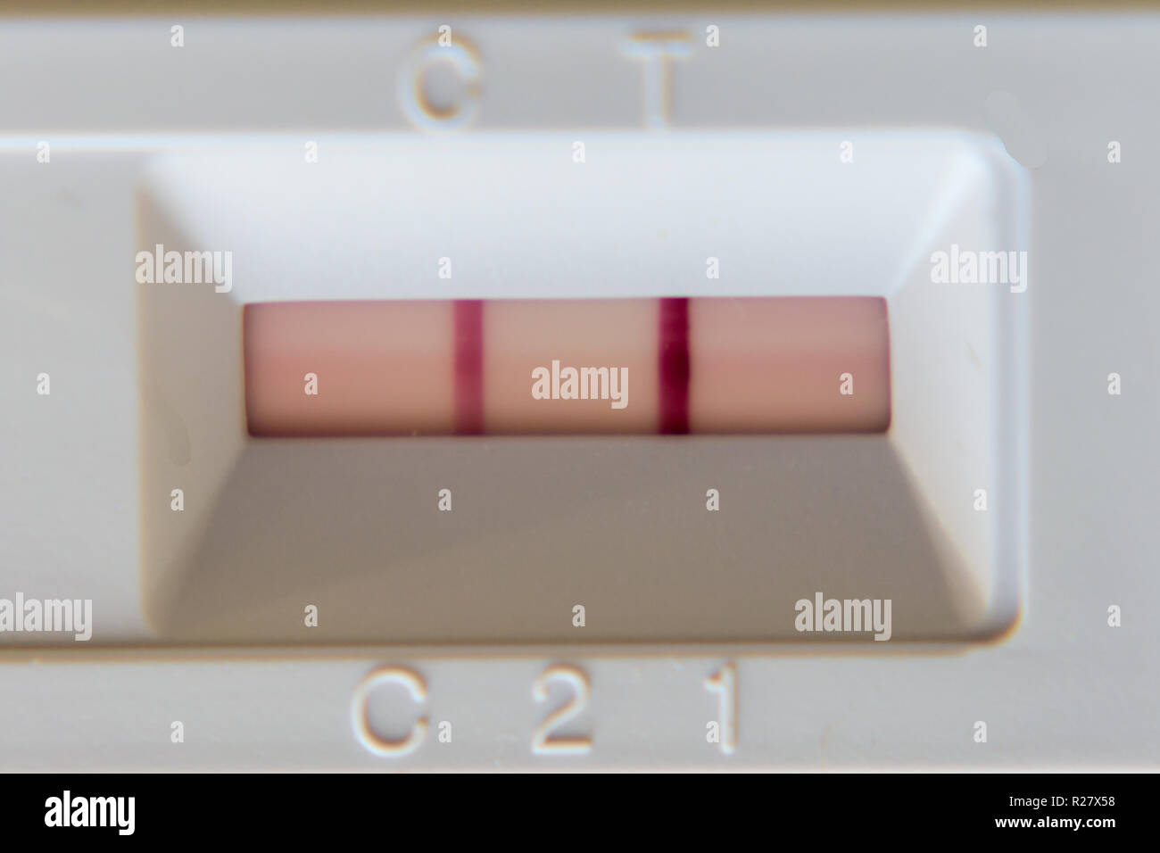 Positiv rapid test. Two red lines Stock Photo - Alamy