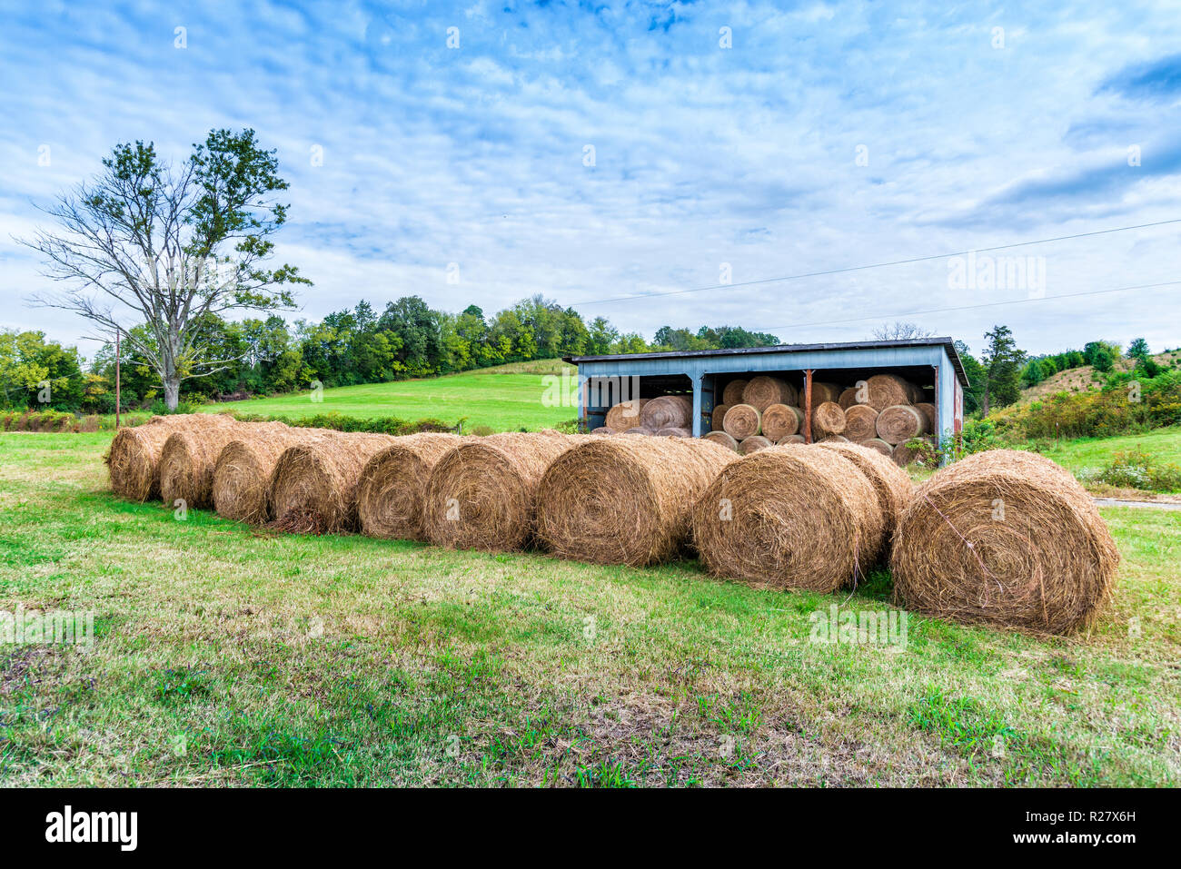 Rolls of round bales hi-res stock photography and images - Alamy