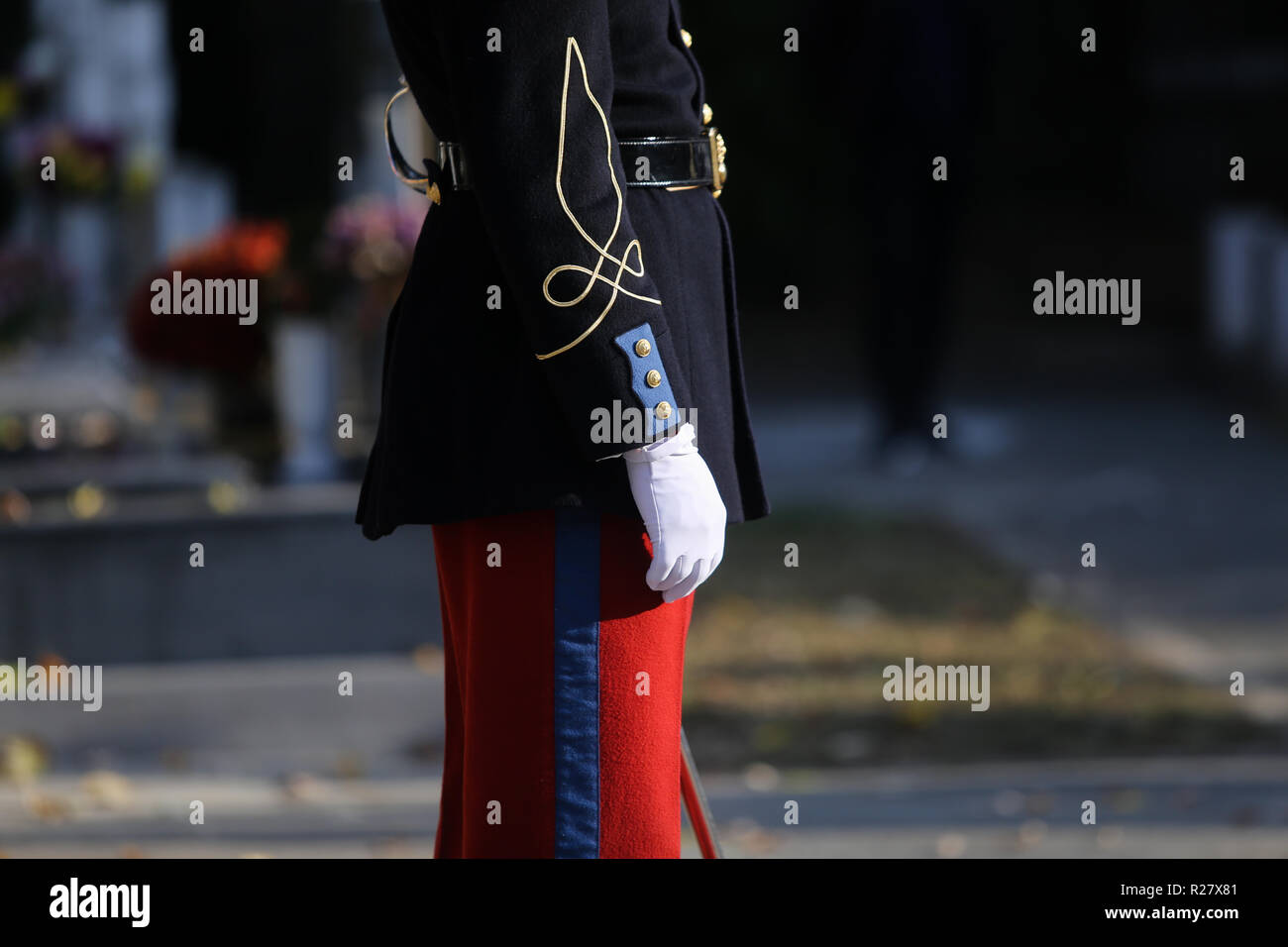 Details with the uniform of a French honor guard soldier attending an ...