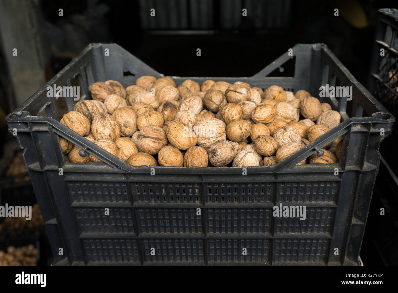 PLASTIC BASKET WITH FILLED WITH WALNUTS FROM ABOVE Stock Photo - Alamy