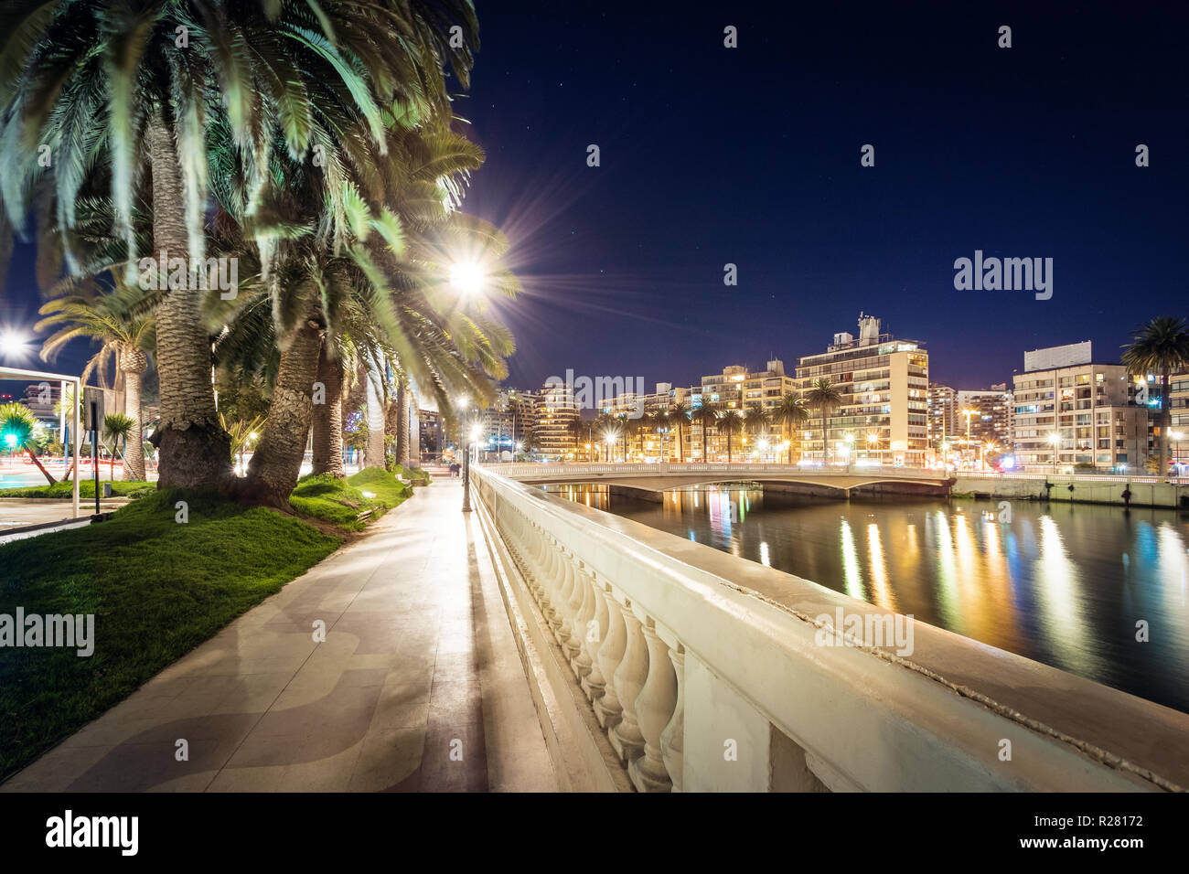 South promenade beach palm tree hi-res stock photography and images - Alamy