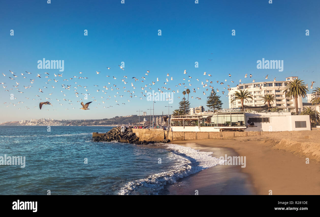 Mar group hi-res stock photography and images - Alamy