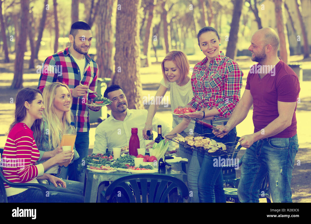 Positive group of friends relaxing at grill party at park Stock Photo ...