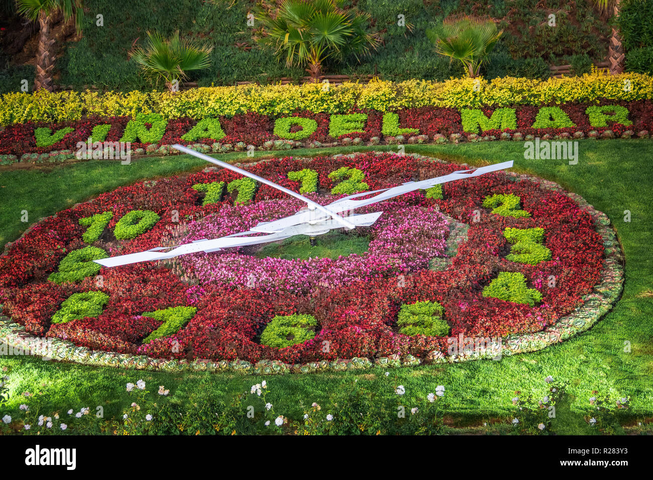 Vina del Mar Clock Flower (Reloj de Flores) - Vina del Mar, Chile Stock ...