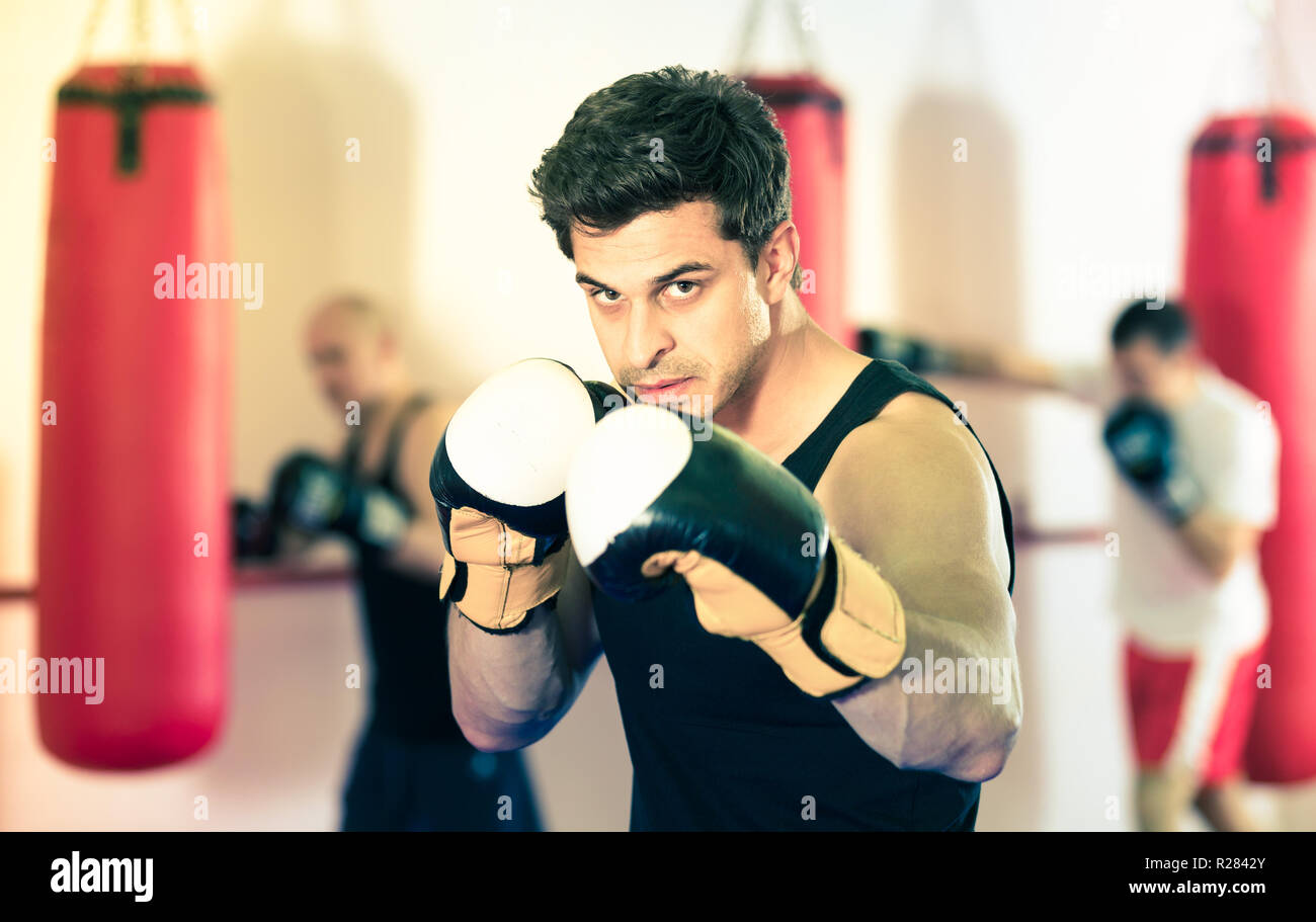 collected sportsman in the boxing hall practicing boxing punches during ...