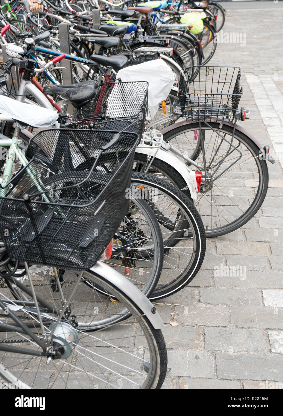 Different types of bicycle hi-res stock photography and images - Alamy