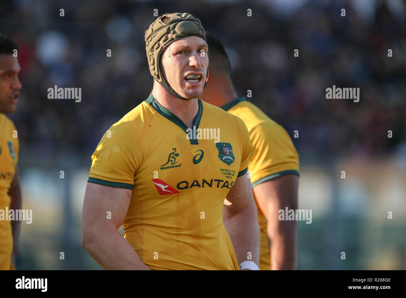David pocock rugby hi-res stock photography and images - Alamy