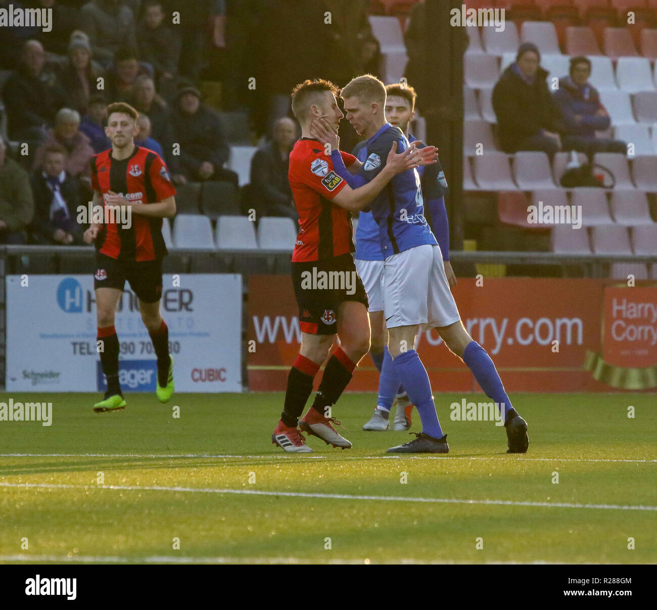 Crusaders fc belfast hi-res stock photography and images - Alamy