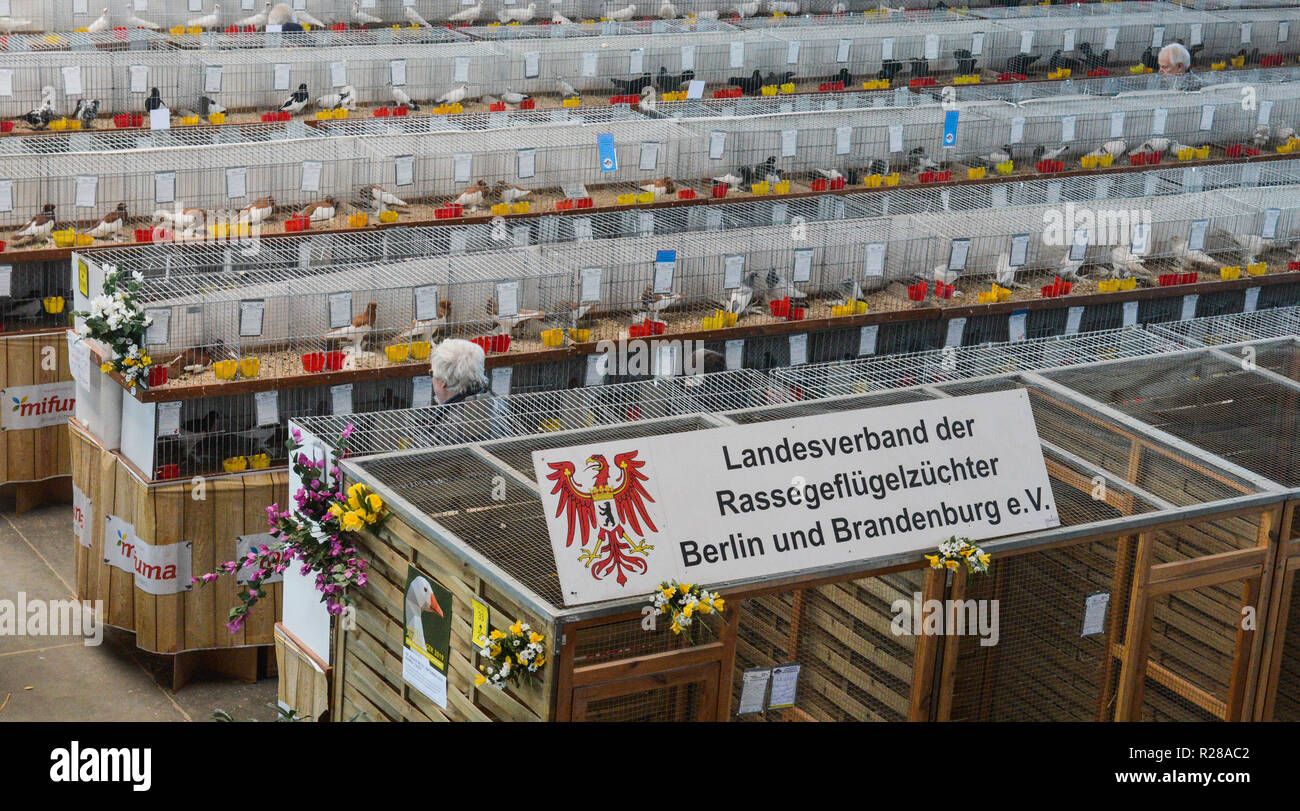 Brandenburg, Germany. 17th Nov, 2018. Visitors walk through the rows of ...