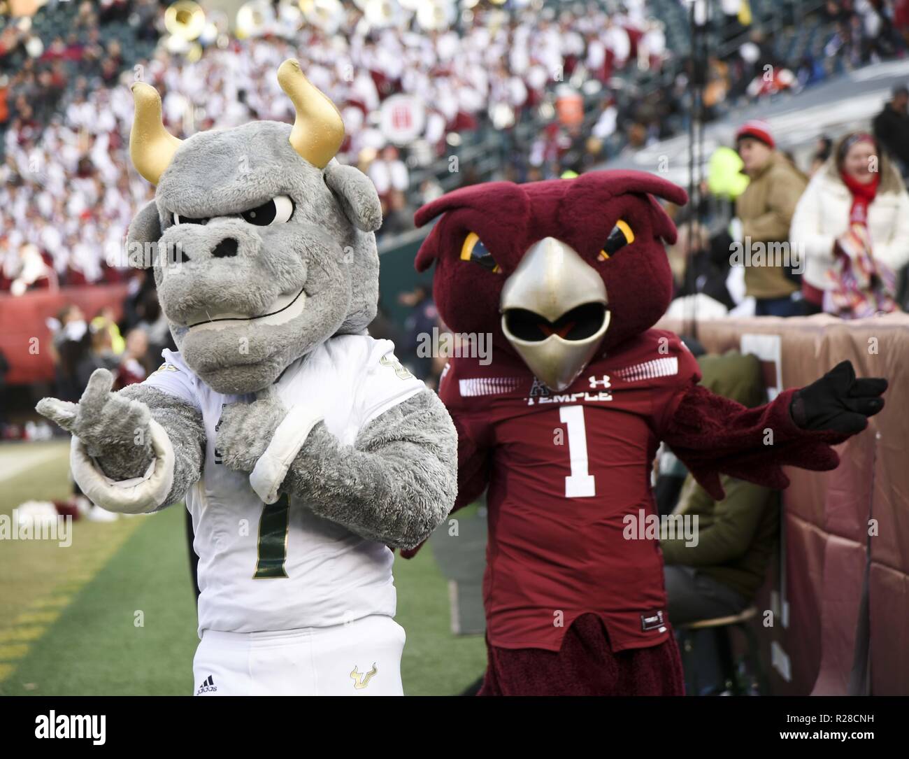Philadelphia, Pennsylvania, USA. 17th Nov, 2018. USF's mascot, ROCKY ...
