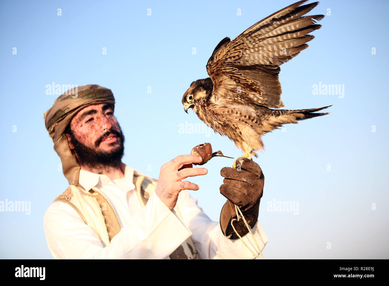 Alexandria, Egypt. 17th Nov, 2018. A falconer displays a falcon in ...