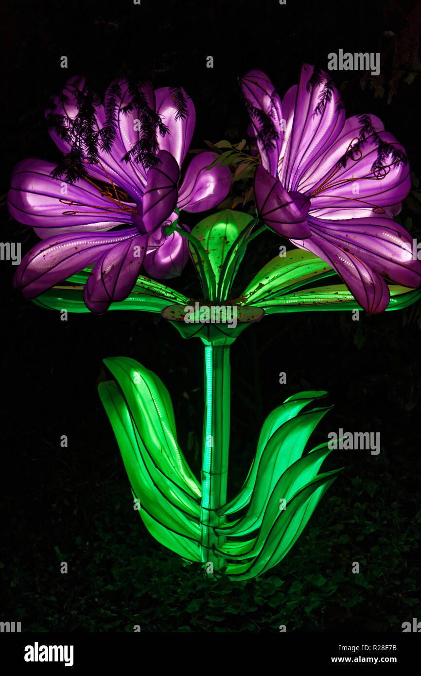 Paris, France. 16th Nov, 2018. Luminous statues representing extinct or ...