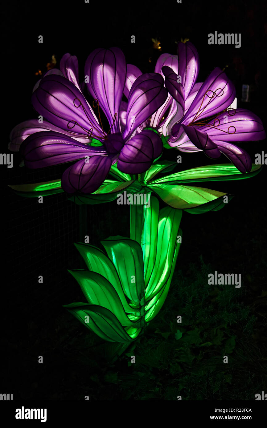 Paris, France. 16th Nov, 2018. Luminous statues representing extinct or ...