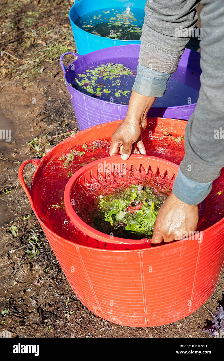 Full of washing hi-res stock photography and images - Alamy