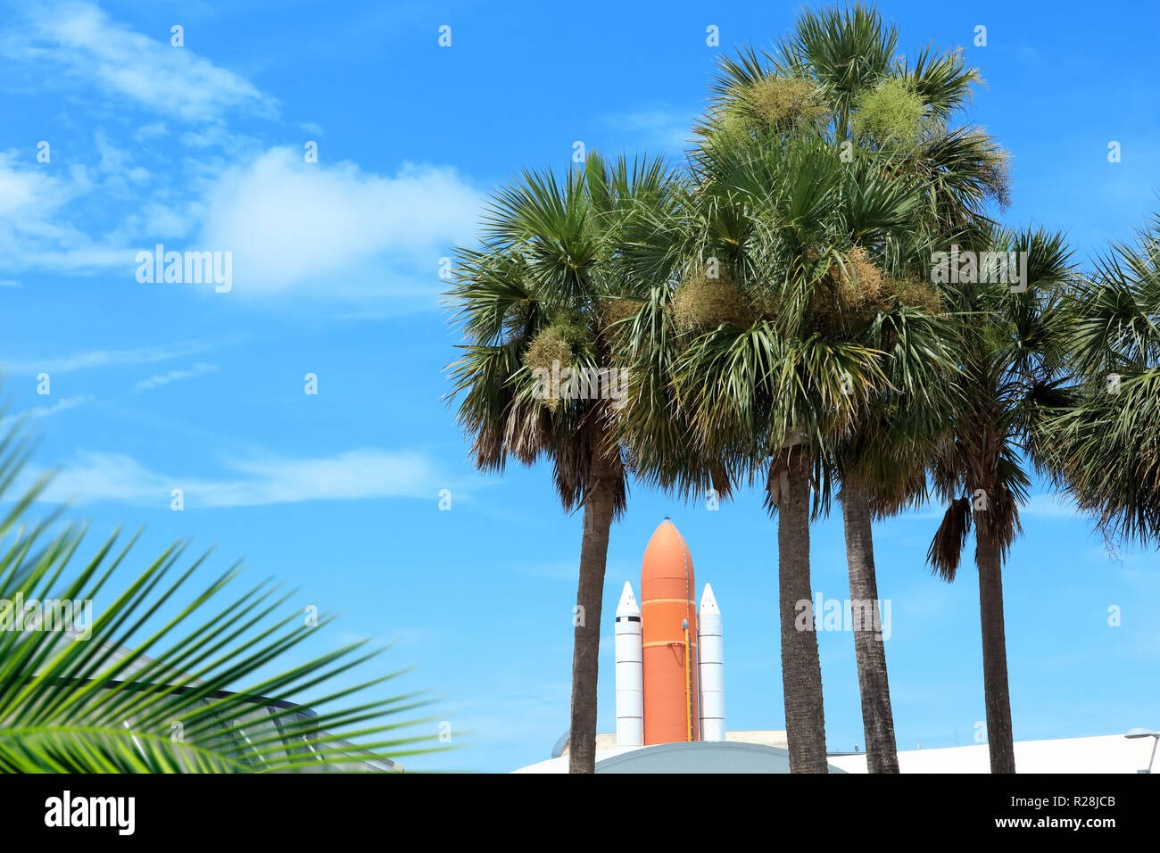 Orbit in palm hi-res stock photography and images - Alamy