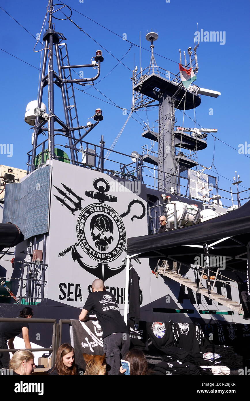 Sam Simon, a ship from Sea Shepherd's fleet in Genoa harbor, Italy ...
