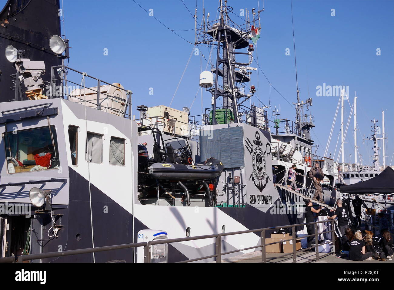 Sam Simon, a ship from Sea Shepherd's fleet in Genoa harbor, Italy ...