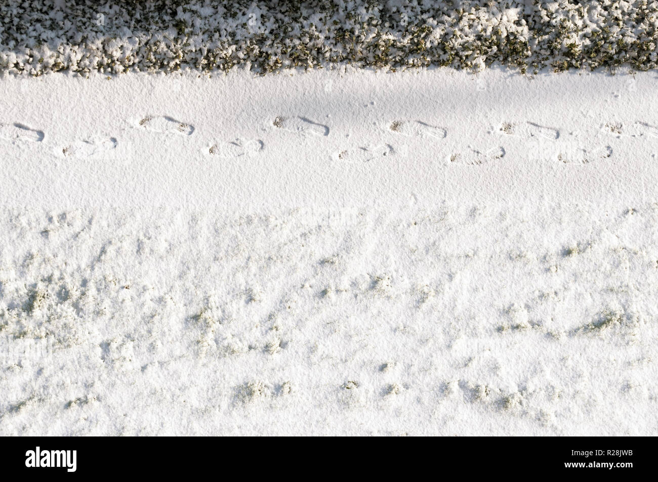 Snowshoe prints hi-res stock photography and images - Alamy