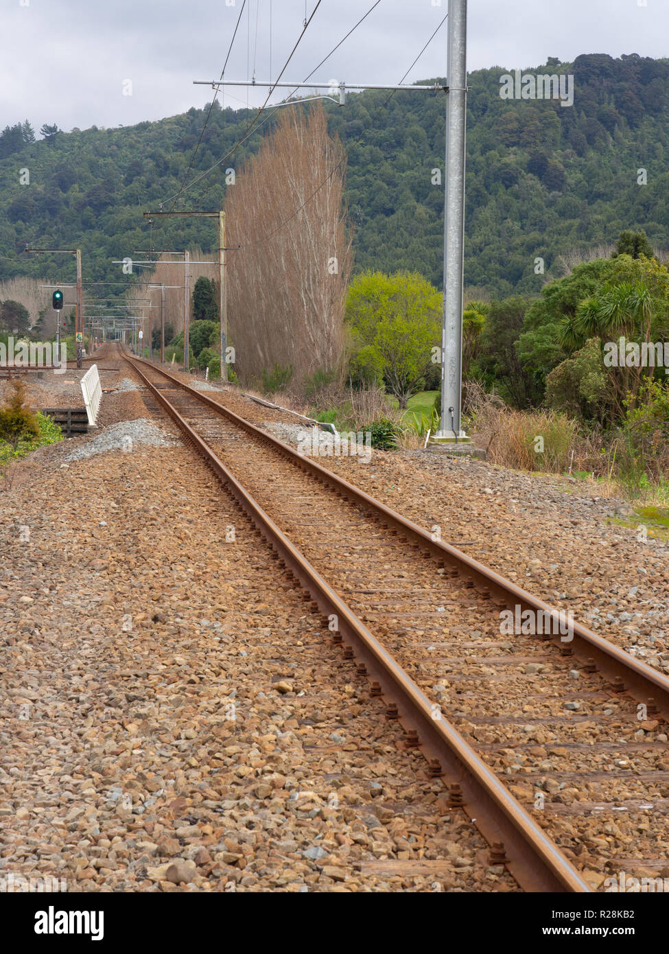 Silverstream silverstream hi-res stock photography and images - Alamy