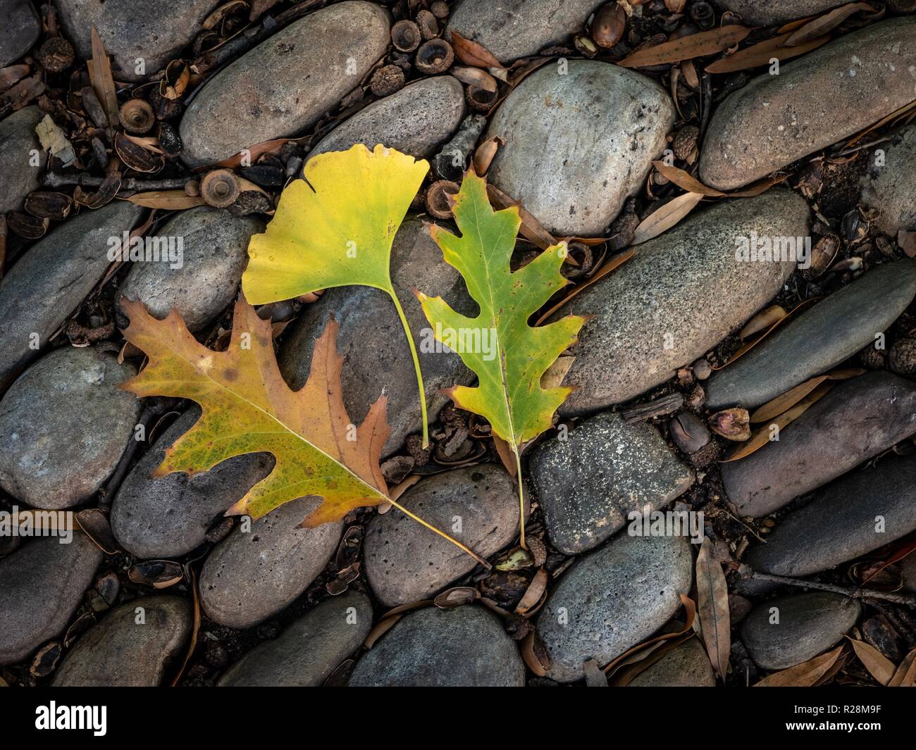 Cobblestone patterns hi-res stock photography and images - Alamy