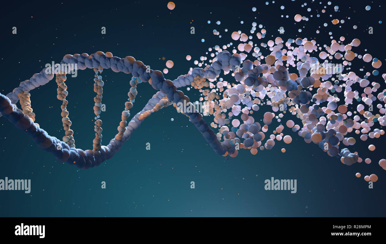DNA strand assembling from different elements. 3D illustration Stock ...
